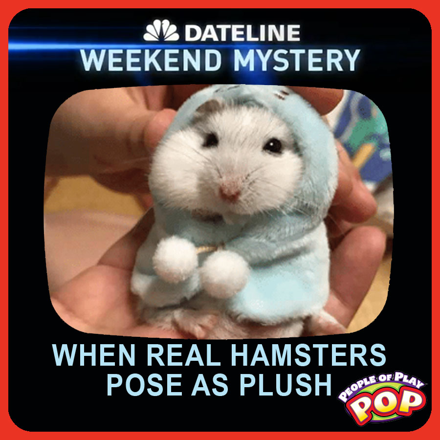 Museums & Aquariums & Planetariums, Oh My!